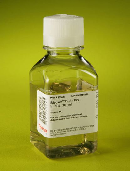 Thermo Scientific™ Blocker™ blocking buffer BSA (10X) in PBS, 200 mL | LabMart Limited